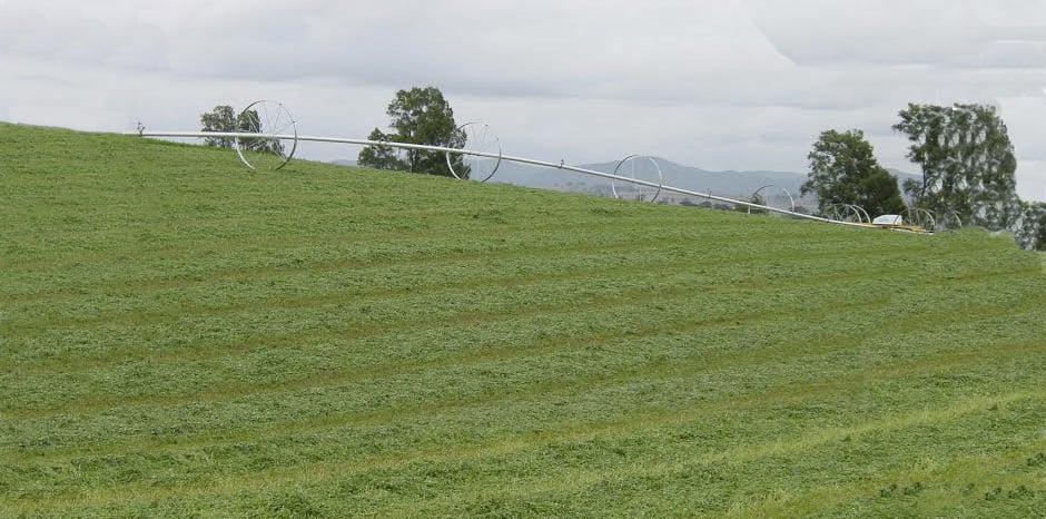 Side Roll Irrigation